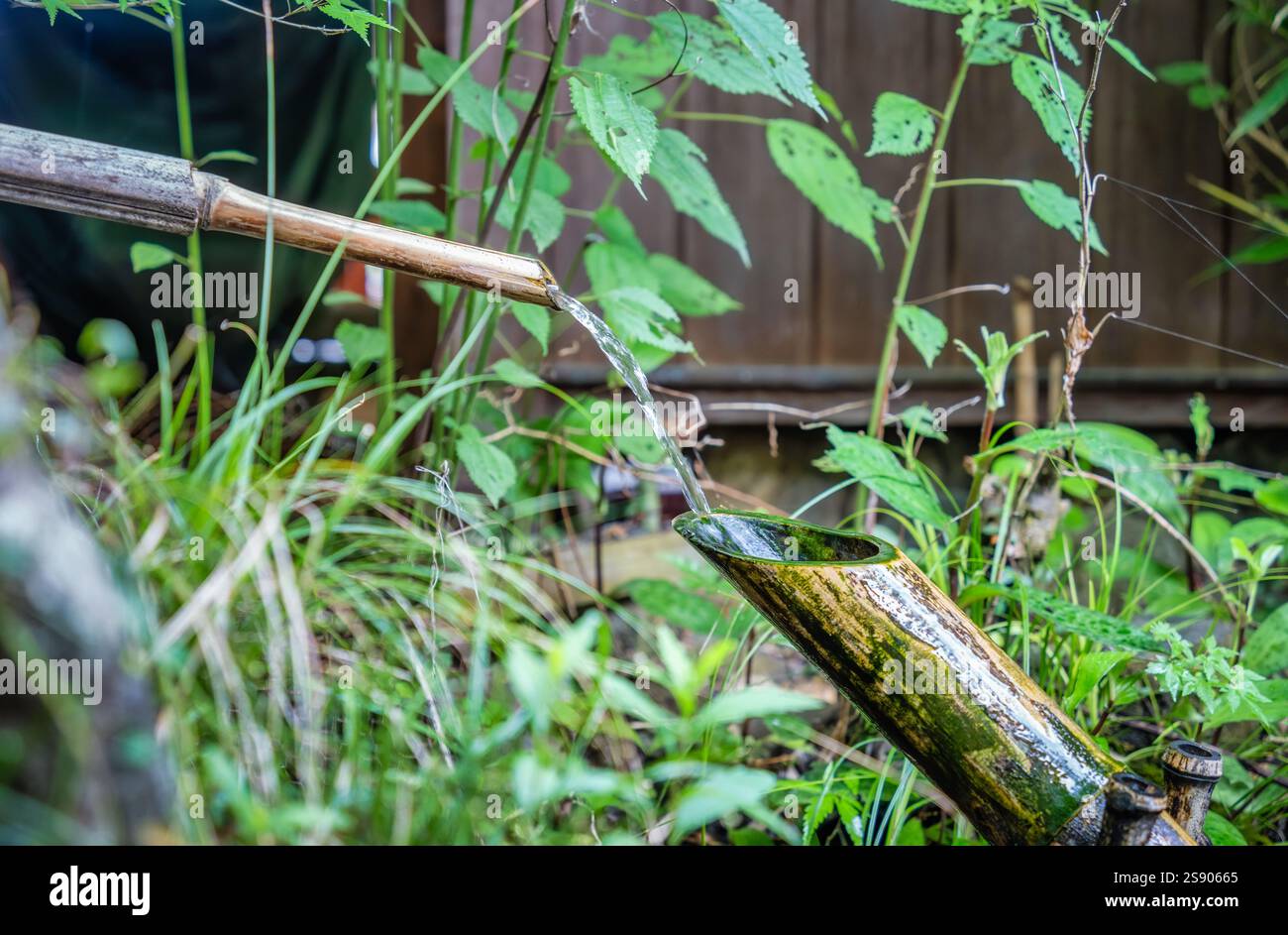 Close up detail with a water pipe fountain made of bamboo stem. Water ...