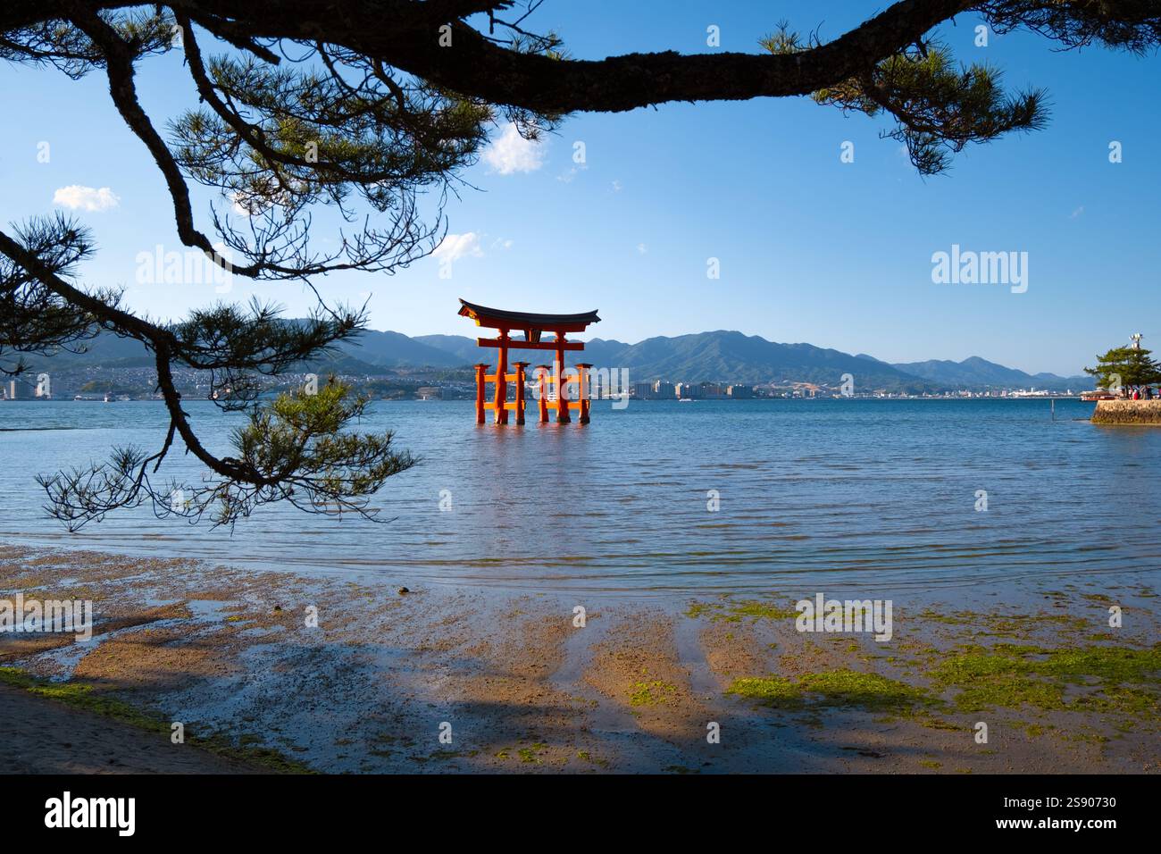 Floating Torii gate of Itsukushima Shrine at Miyajima, Hiroshima Stock ...