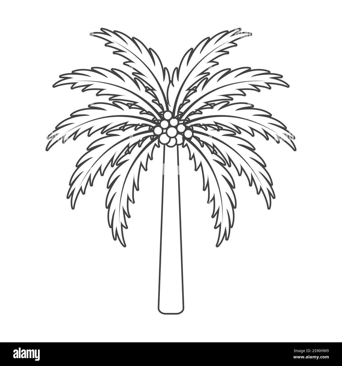 Palm tree line icon on Cut Out Stock Images & Pictures - Alamy