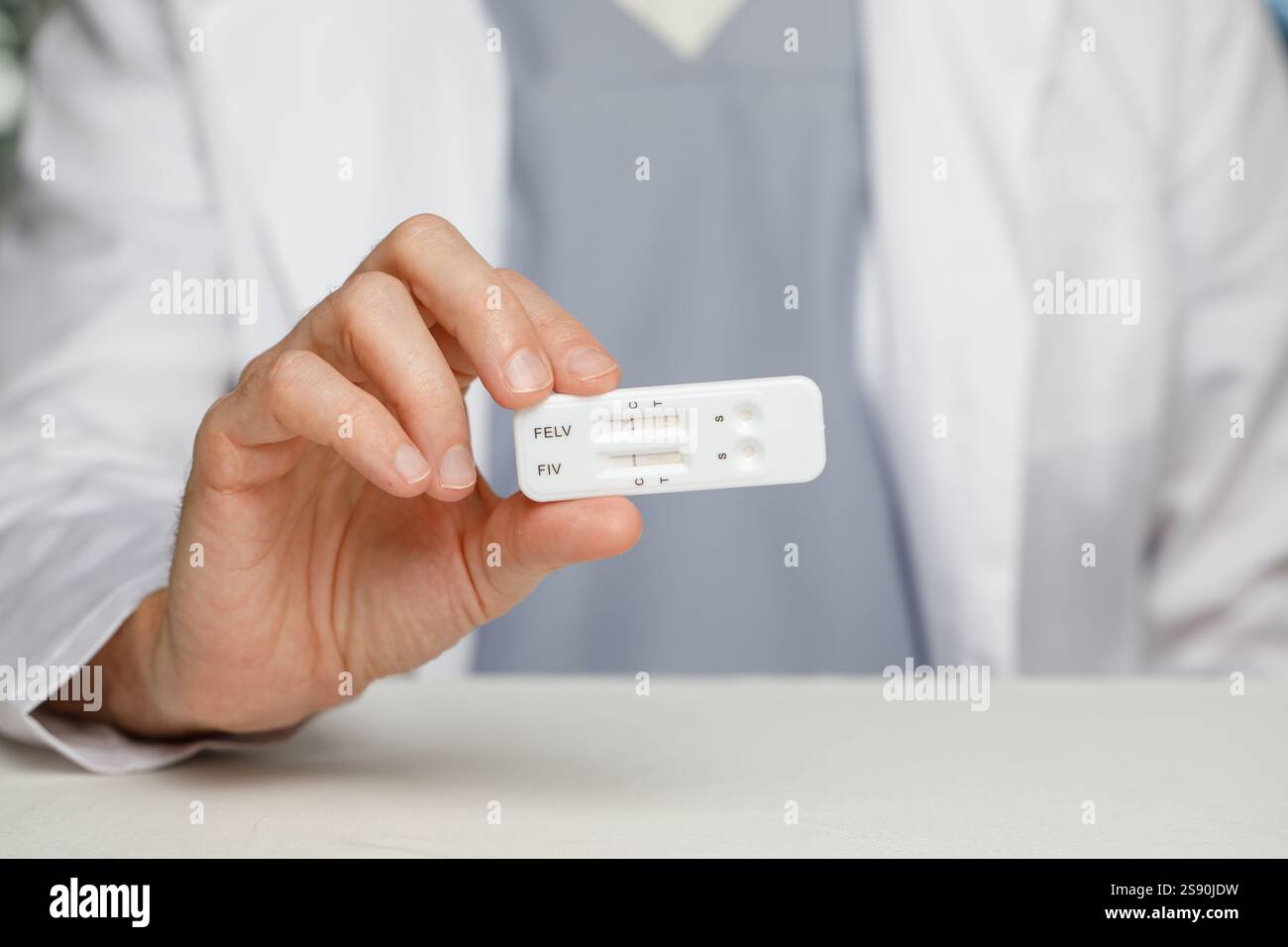 Vet diagnostic concept. Test for detection of feline leukemia virus ...