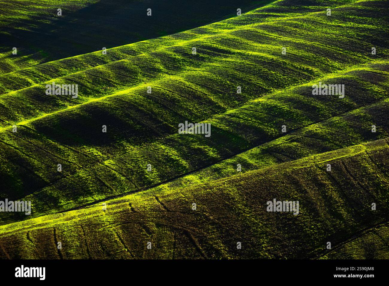 Earthy inspiration hi-res stock photography and images - Alamy