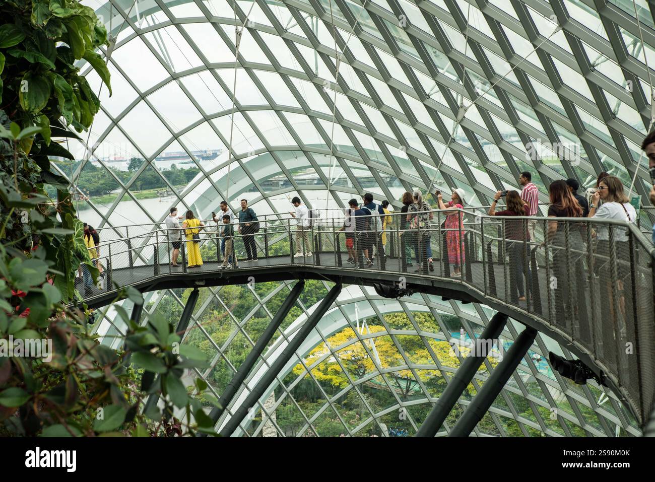 Tourists on one of the elevated walkways in the Cloud Forest Dome ...
