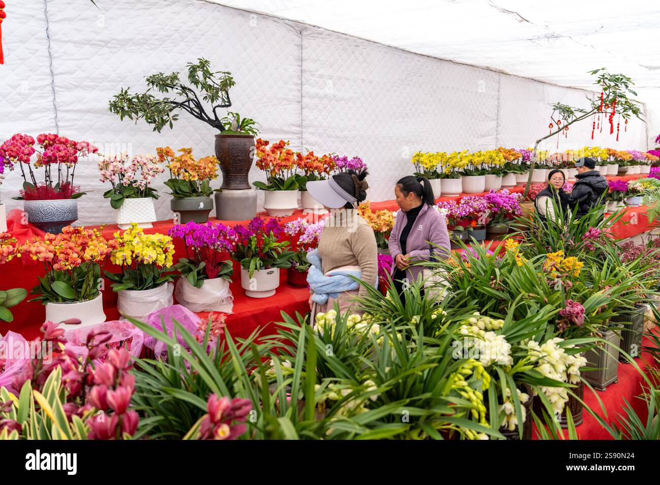People select Spring Festival flowers at a market in Jinhua City, east ...