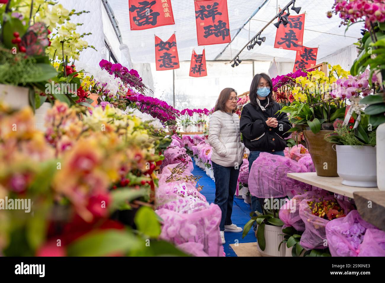 People select Spring Festival flowers at a market in Jinhua City, east ...
