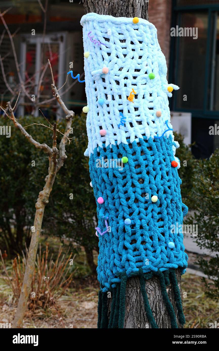 Trees in a park are put on brightly colored "sweaters" for winter in ...