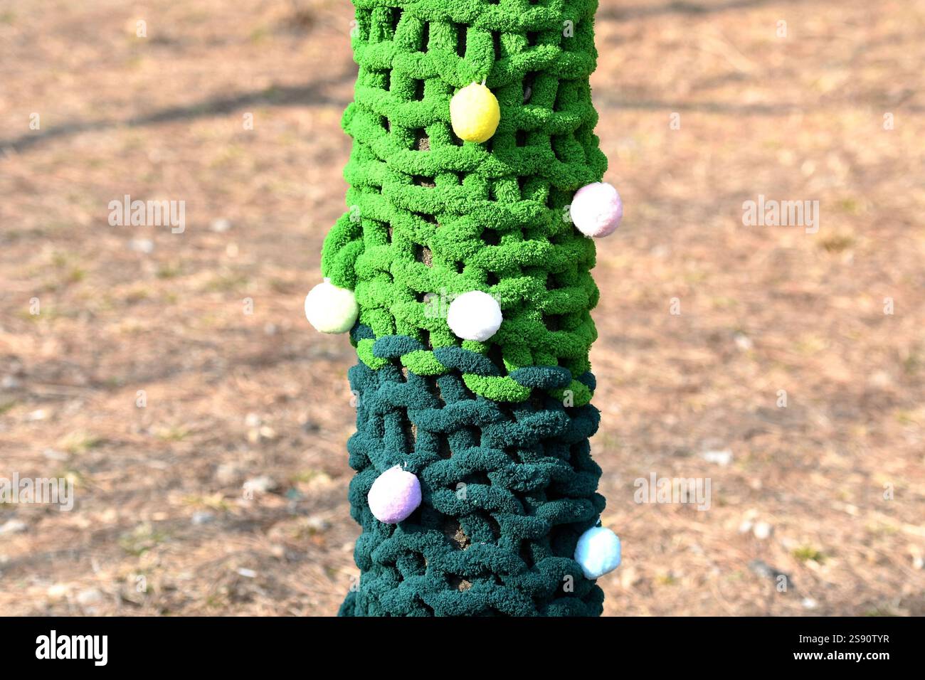 Trees in a park are put on brightly colored "sweaters" for winter in ...