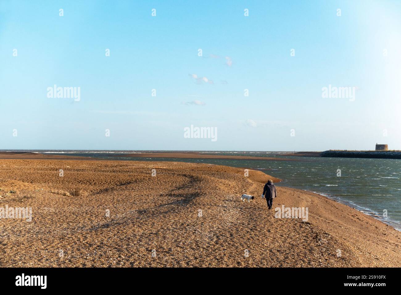 Dog estuary hi-res stock photography and images - Alamy