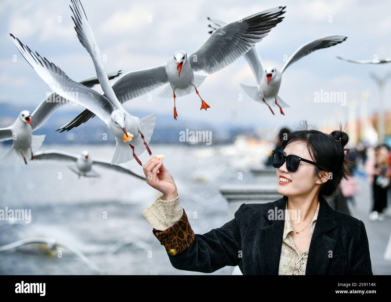 (250124) -- BEIJING, Jan. 24, 2025 (Xinhua) -- A tourist feeds black ...