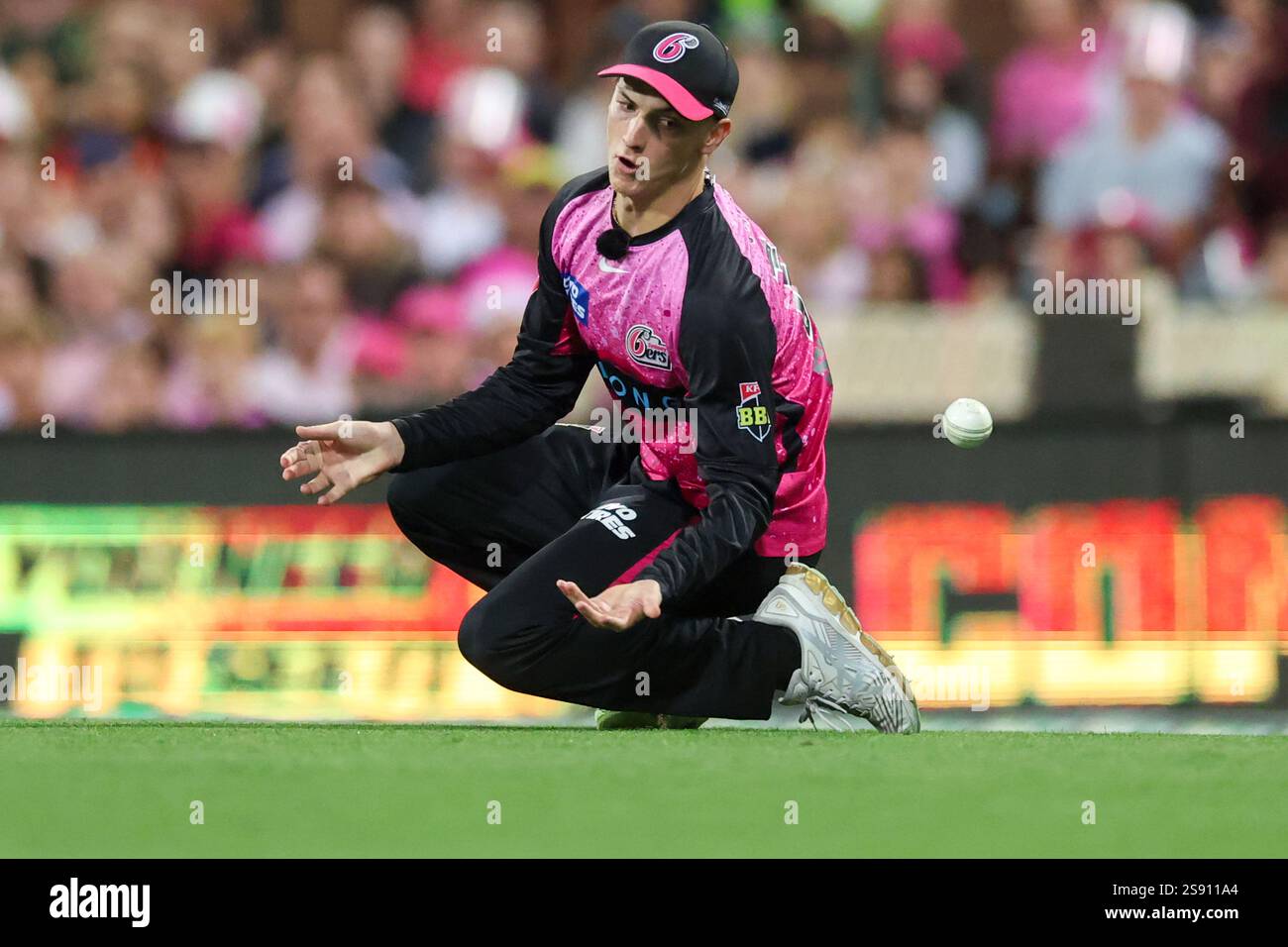 Lachlan Shaw of the Sixers drops a catch during the BBL Challenger ...