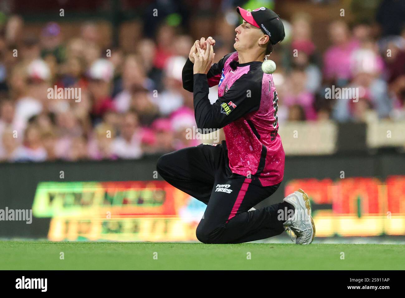 Lachlan Shaw of the Sixers drops a catch during the BBL Challenger ...