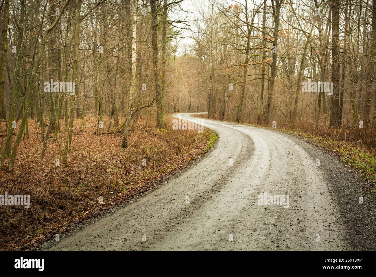 Scenic dirt trail winding hi-res stock photography and images - Alamy