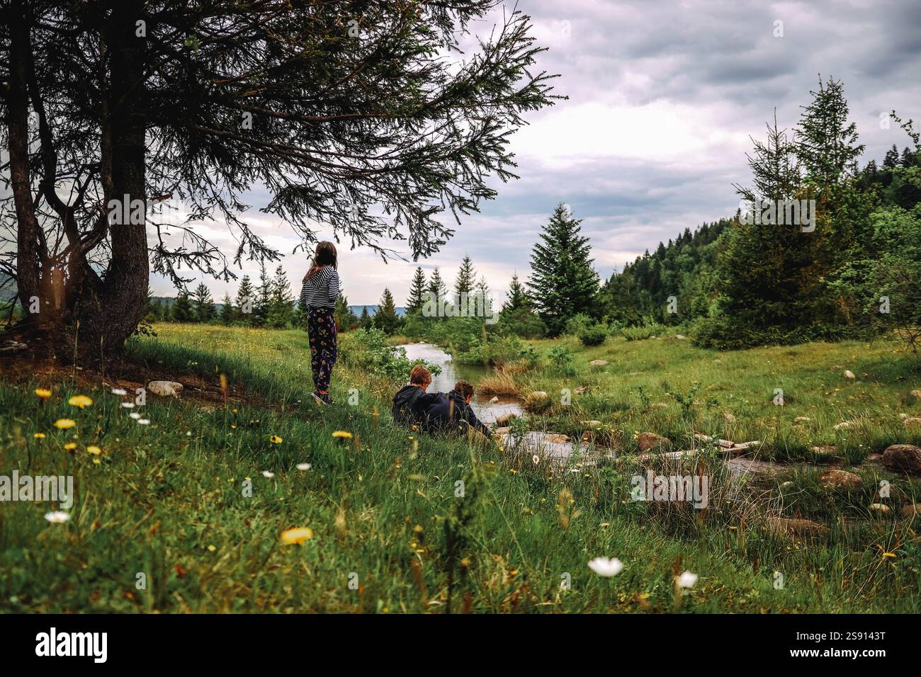Three kids playing in the forest Stock Photo - Alamy