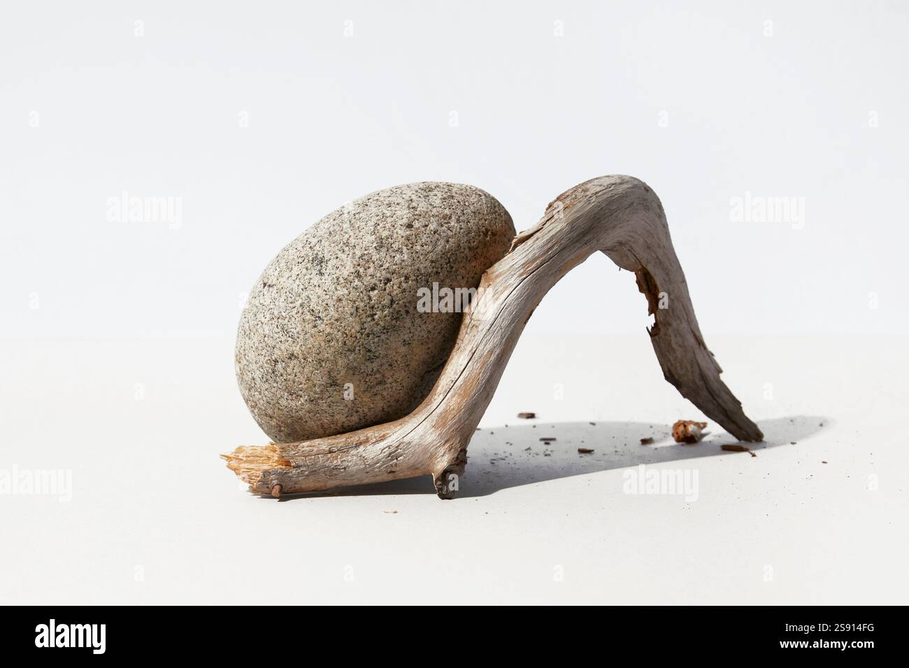 Minimal still life nature image with stone, wood and neutral tones ...