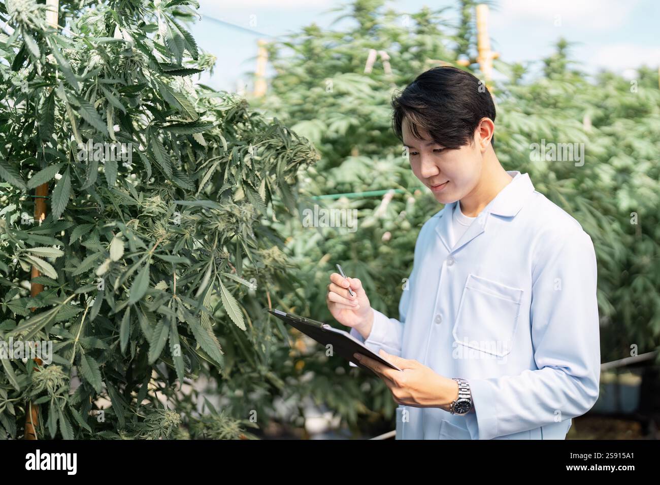 Documenting observations hi-res stock photography and images - Alamy