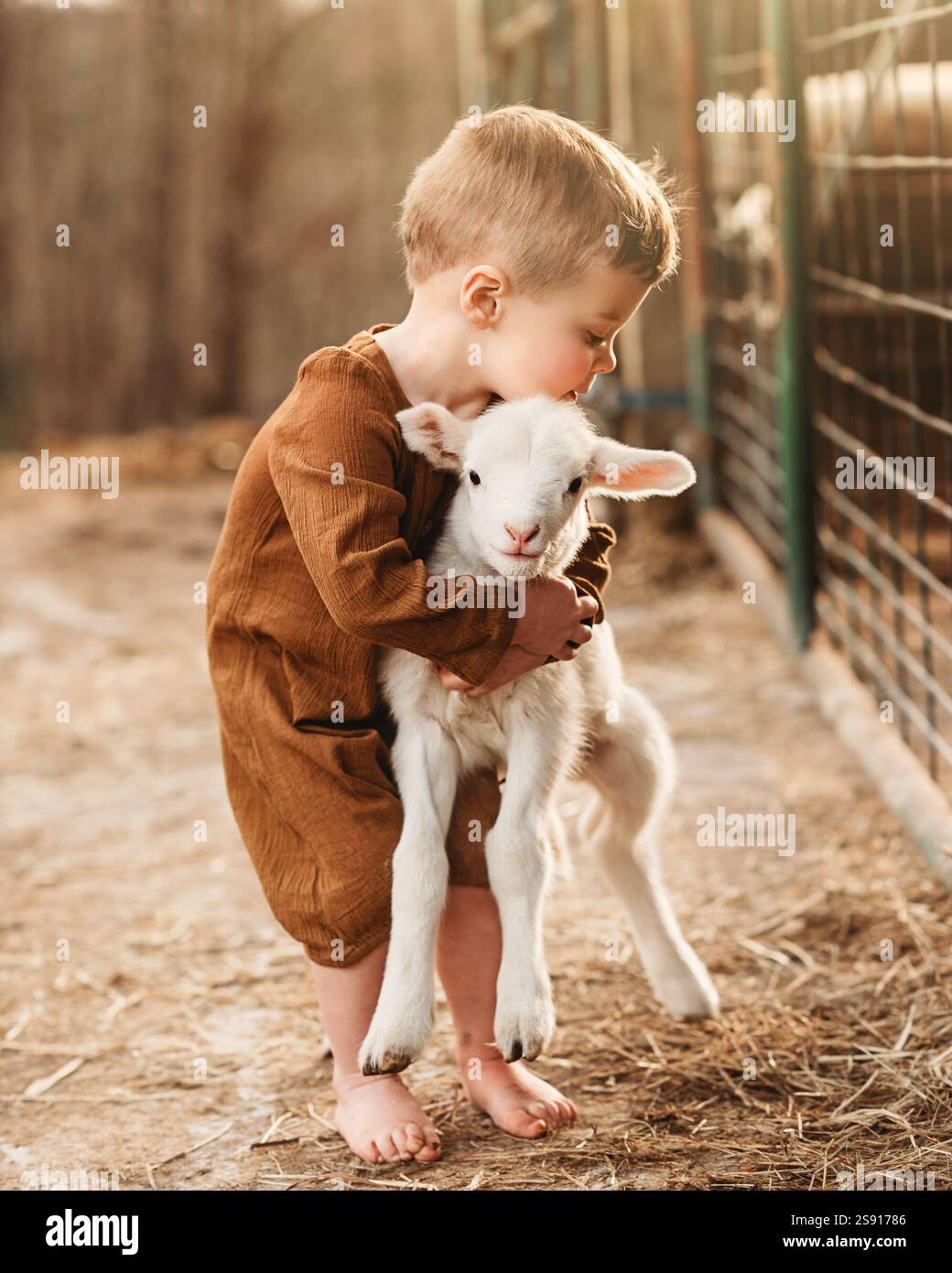 little boy hugging a lamb Stock Photo - Alamy
