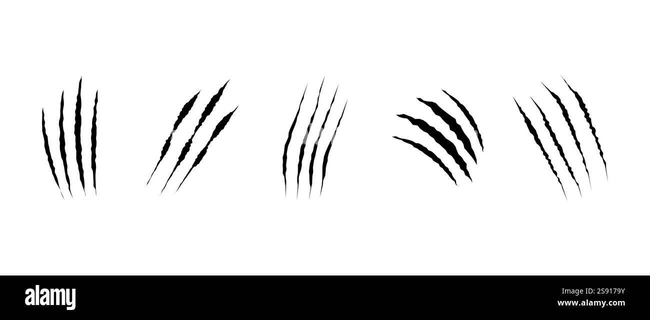 Cat scratch. Realistic set of animal claw marks isolated on white ...