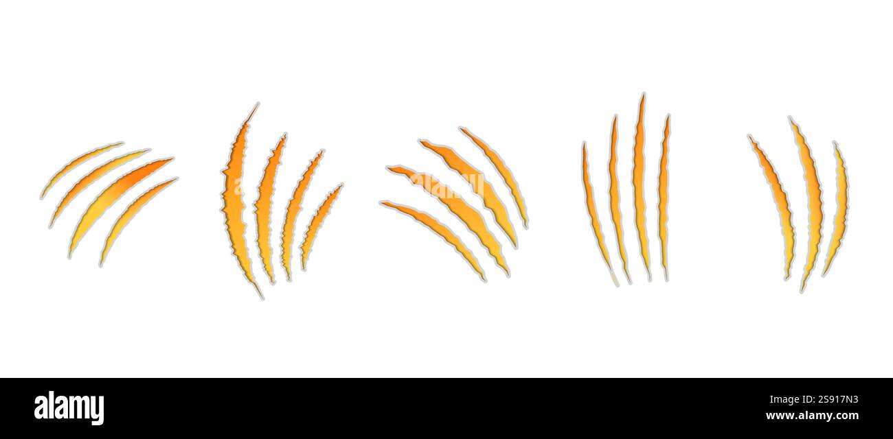 Cat scratch. Realistic set of animal claw marks isolated on white ...