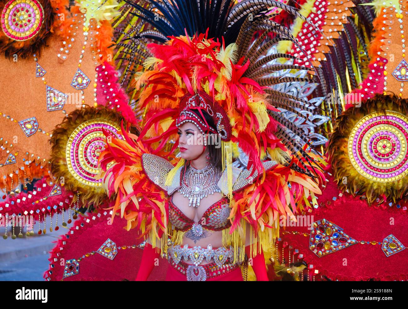 Vibrant Samba Dancer in Feathered and Beaded Costume at Carnival Parade ...