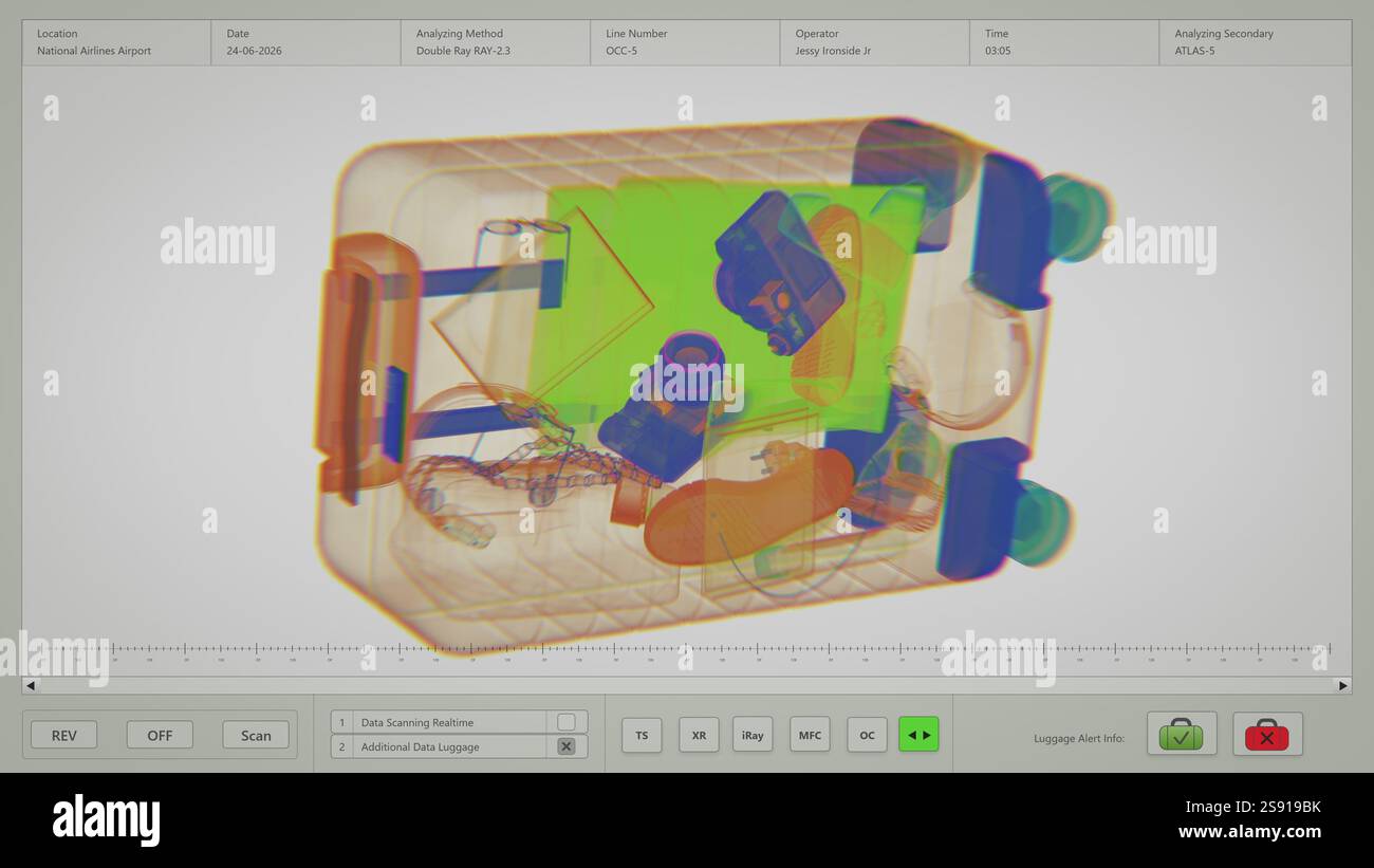 Advanced Security System in Airport Terminal: X-Ray Scan of Passengers ...