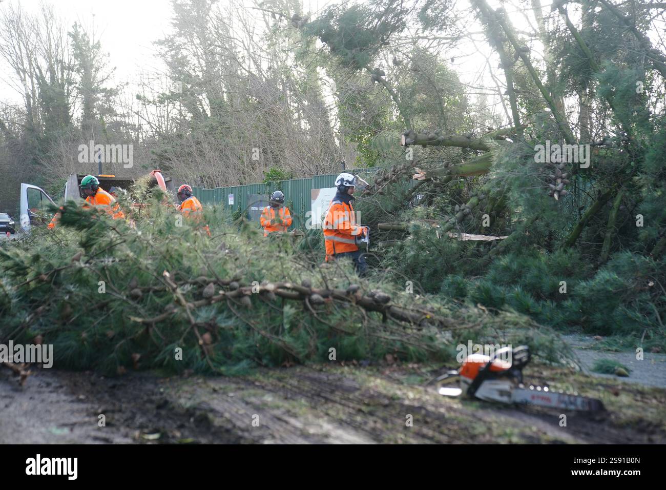 Tree surgeons cut and remove a fallen tree which is blocking the road ...