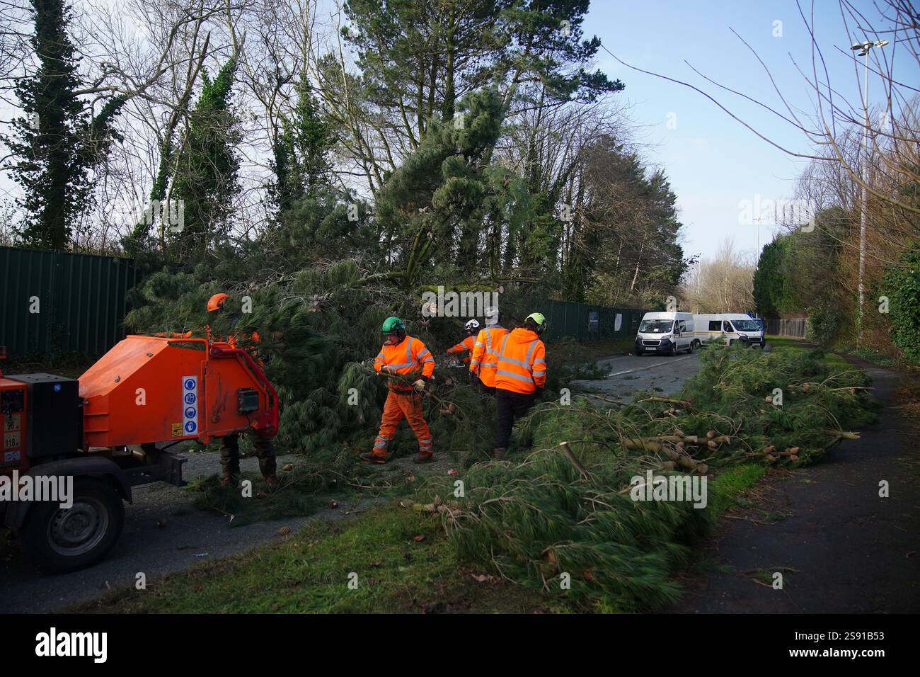 Tree surgeons cut and remove a fallen tree which is blocking the road ...