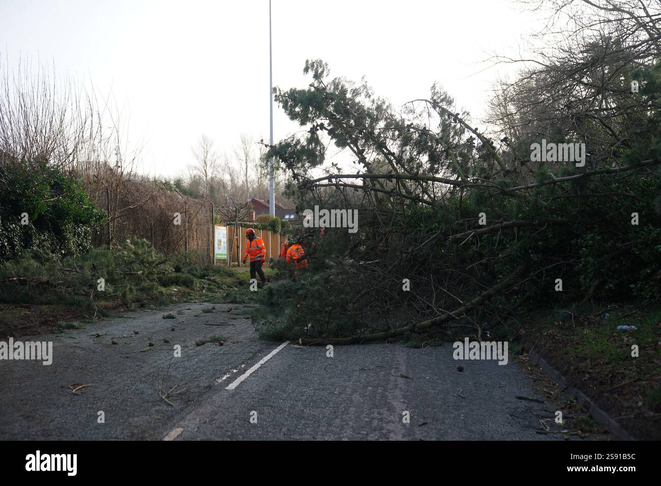 Tree surgeons cut and remove a fallen tree which is blocking the road ...