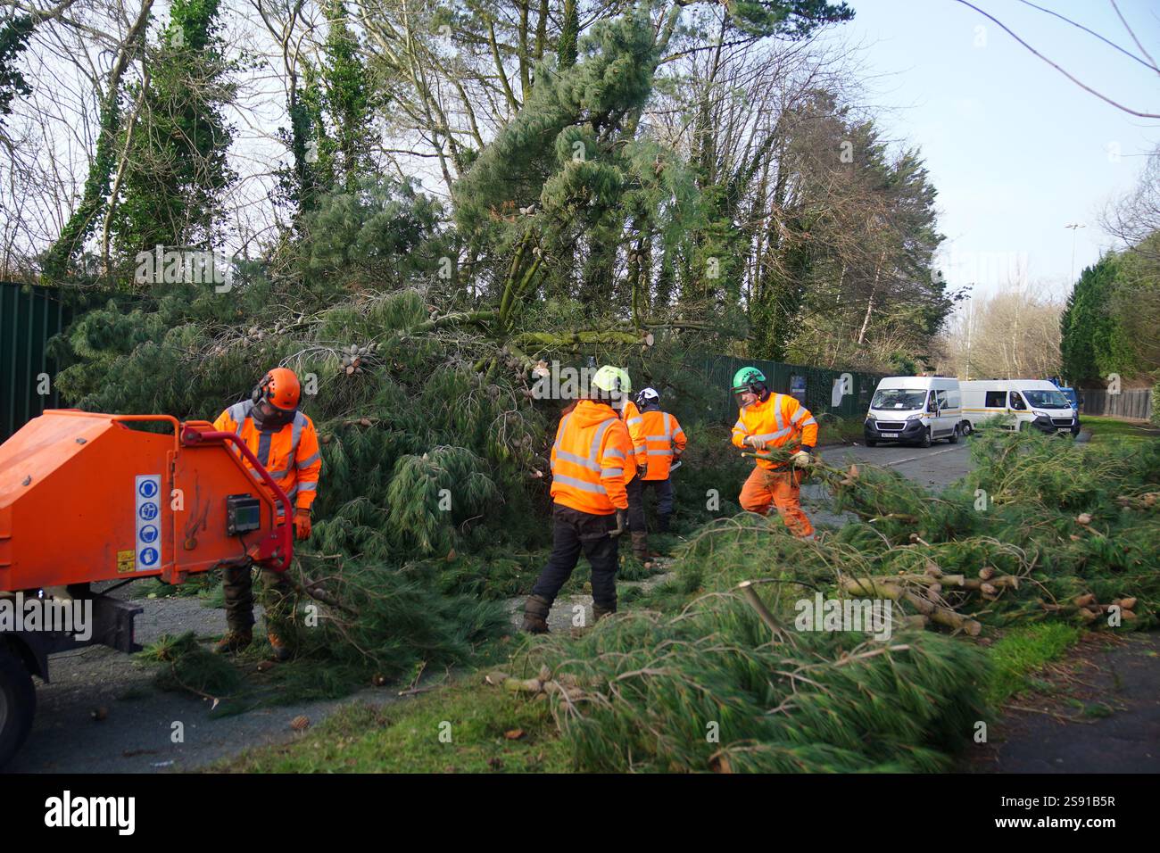 Tree surgeons cut and remove a fallen tree which is blocking the road ...