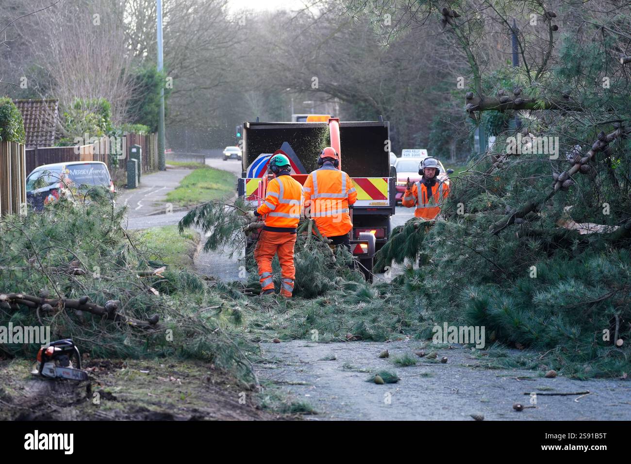 Tree surgeons cut and remove a fallen tree which is blocking the road ...