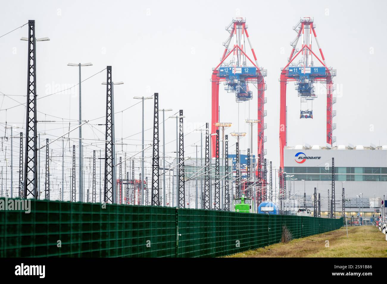 24 January 2025, Lower Saxony, Wilhelmshaven: Several container gantry ...