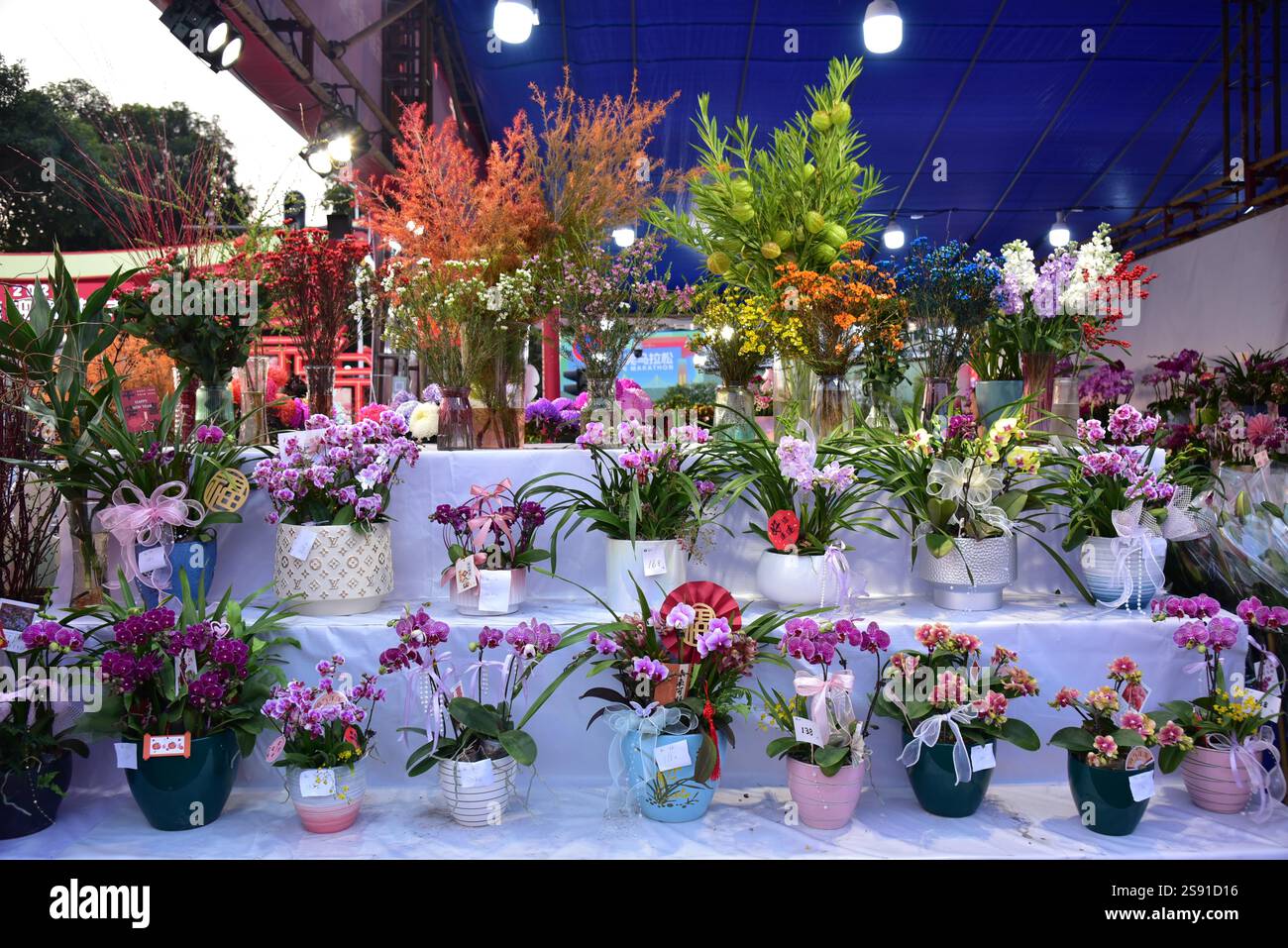 People shop Spring Festival goods at a flower market in Dongguan City ...