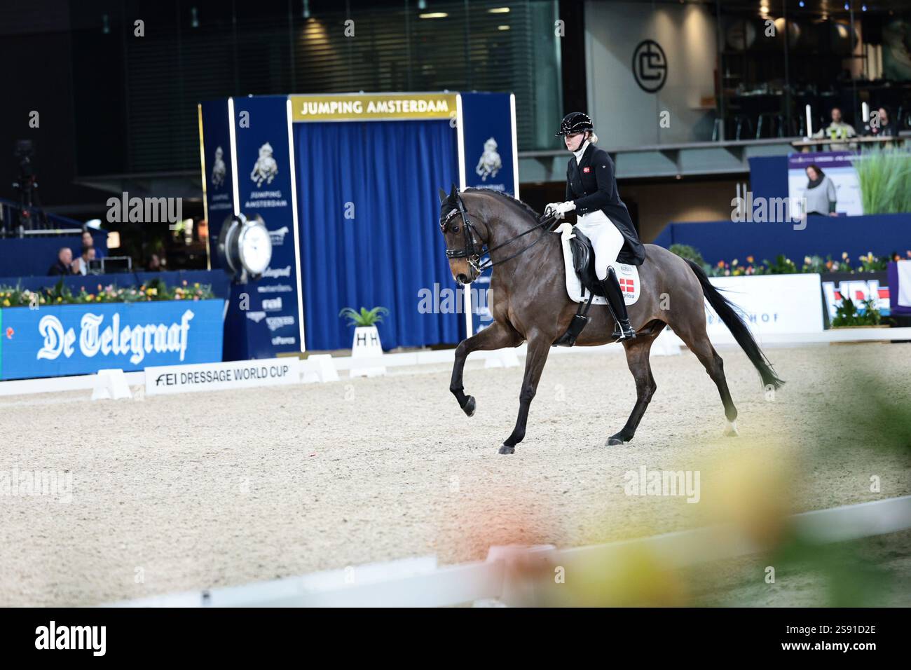 Thea Bech of Denmark with Dionisos during the Lövsta Future Challenge ...