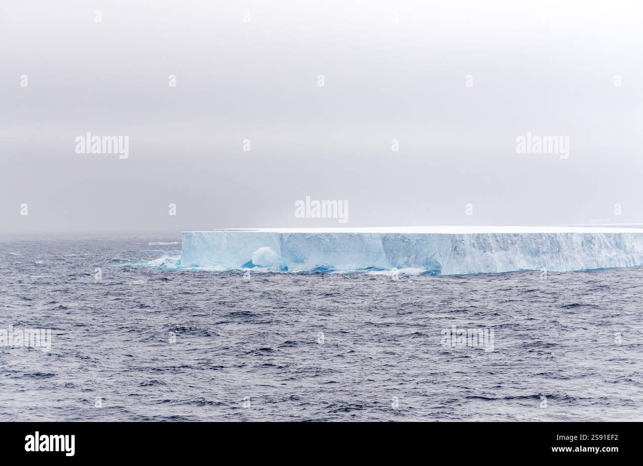 A section of the A23a iceberg; the world's largest tabular iceberg in ...