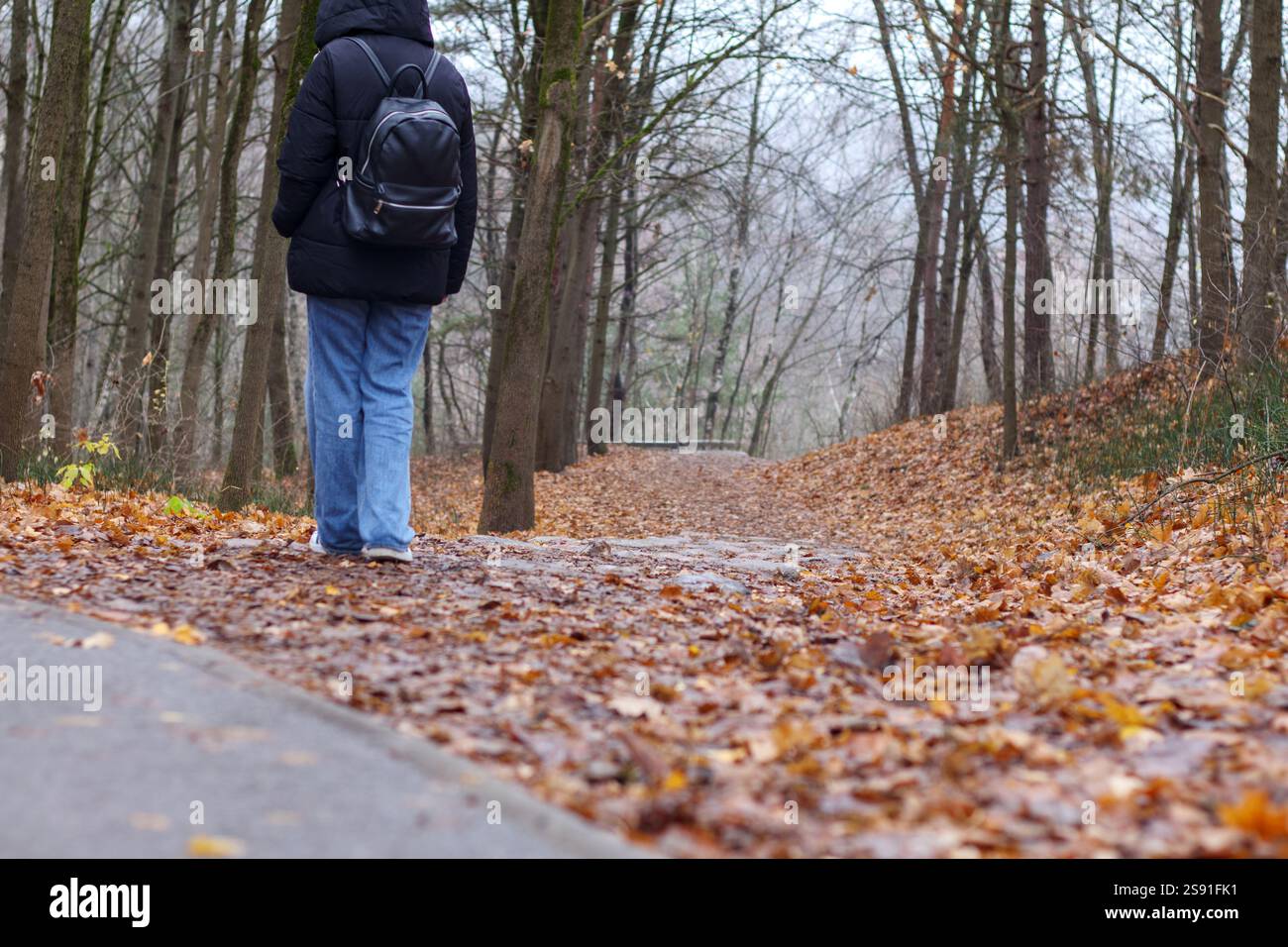 A man with a backpack walking alone on a forest path covered with ...