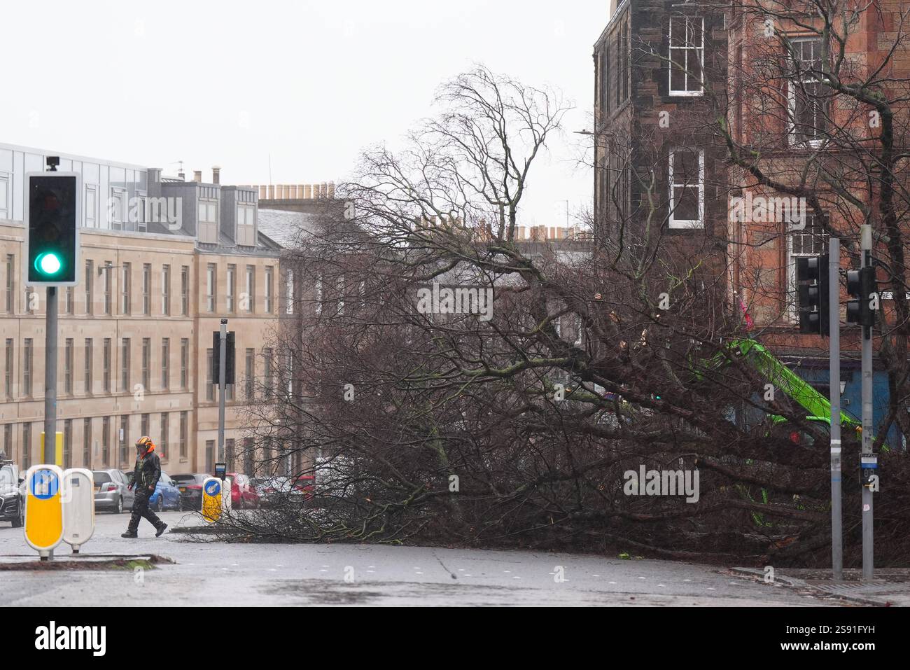 Workers remove a fallen tree on Regent Road, Edinburgh. Schools have ...
