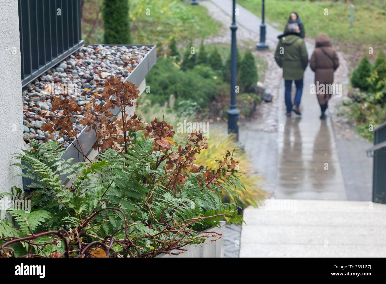A rain-soaked garden with concrete steps where two people walk away ...