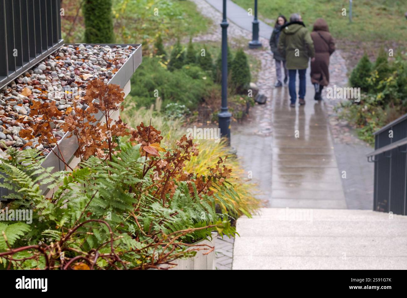 A rain-soaked garden with concrete steps where two people walk away ...