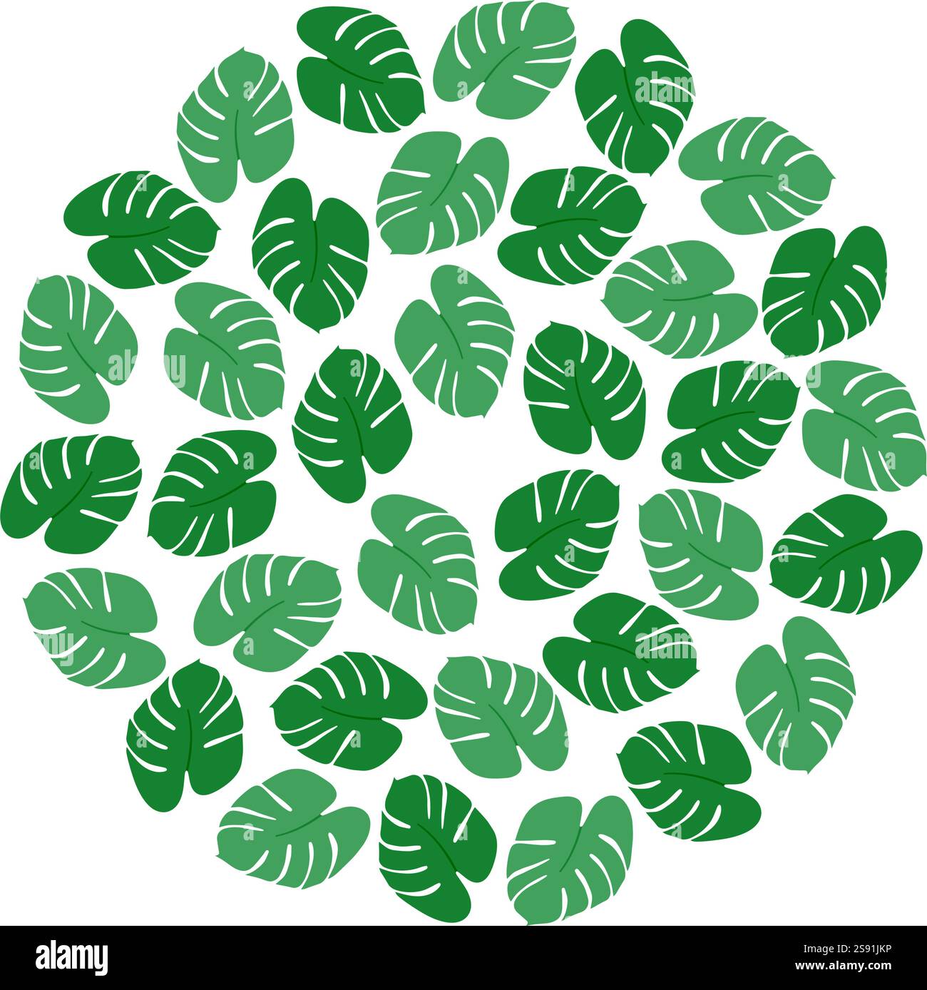 Abstract Monstera leaves Circular Backgrounds texture in monochrome ...