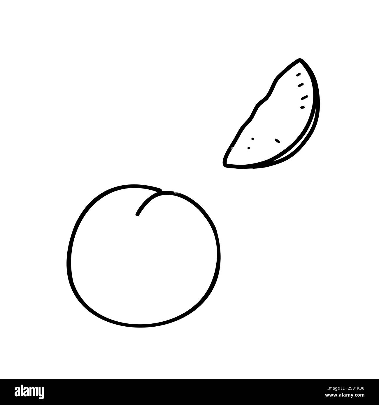 Peach Vector Illustration hand drawn in Doodle style. Whole peach and ...
