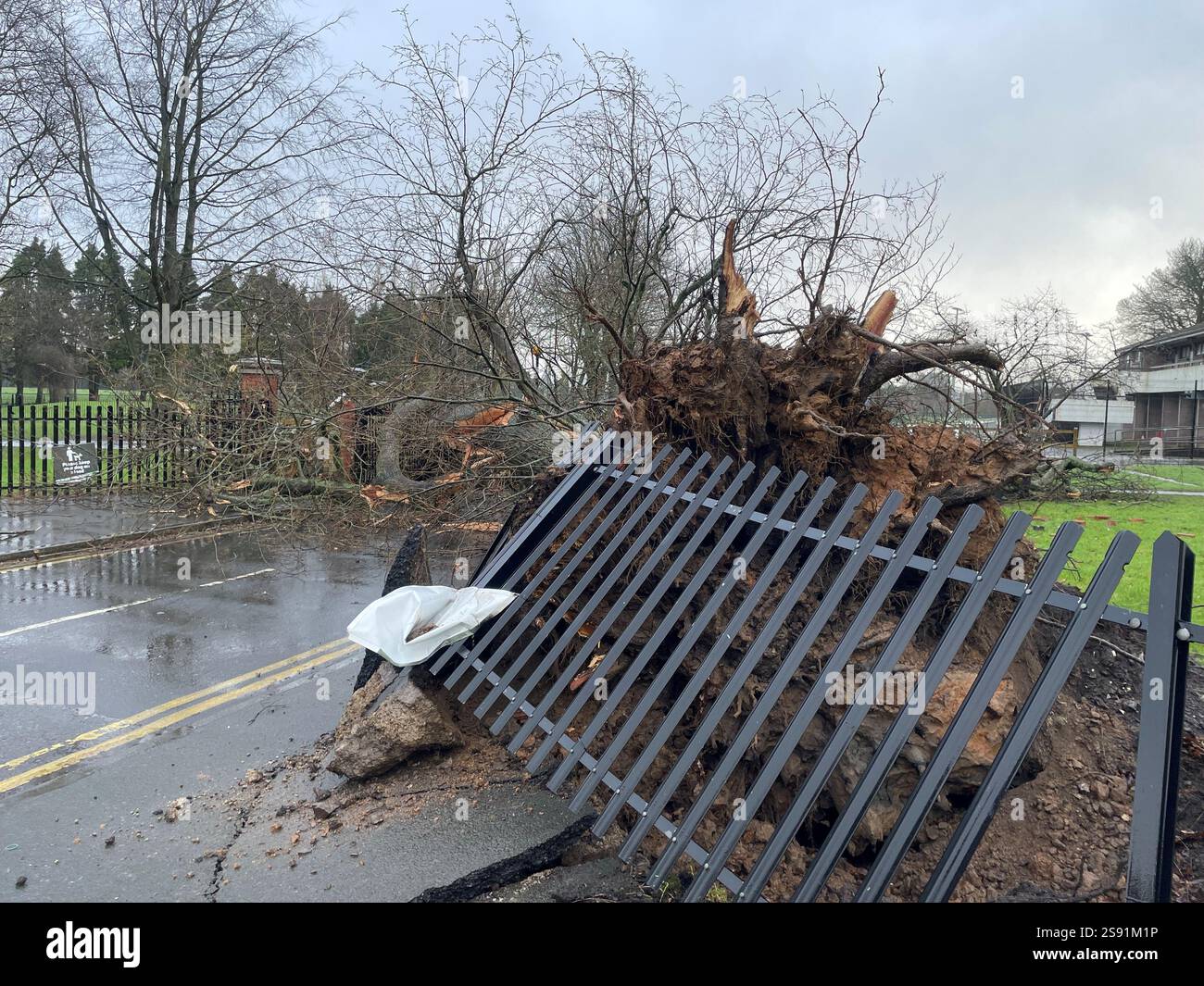 A fallen tree which has damaged fencing at the Cherryvale playing ...