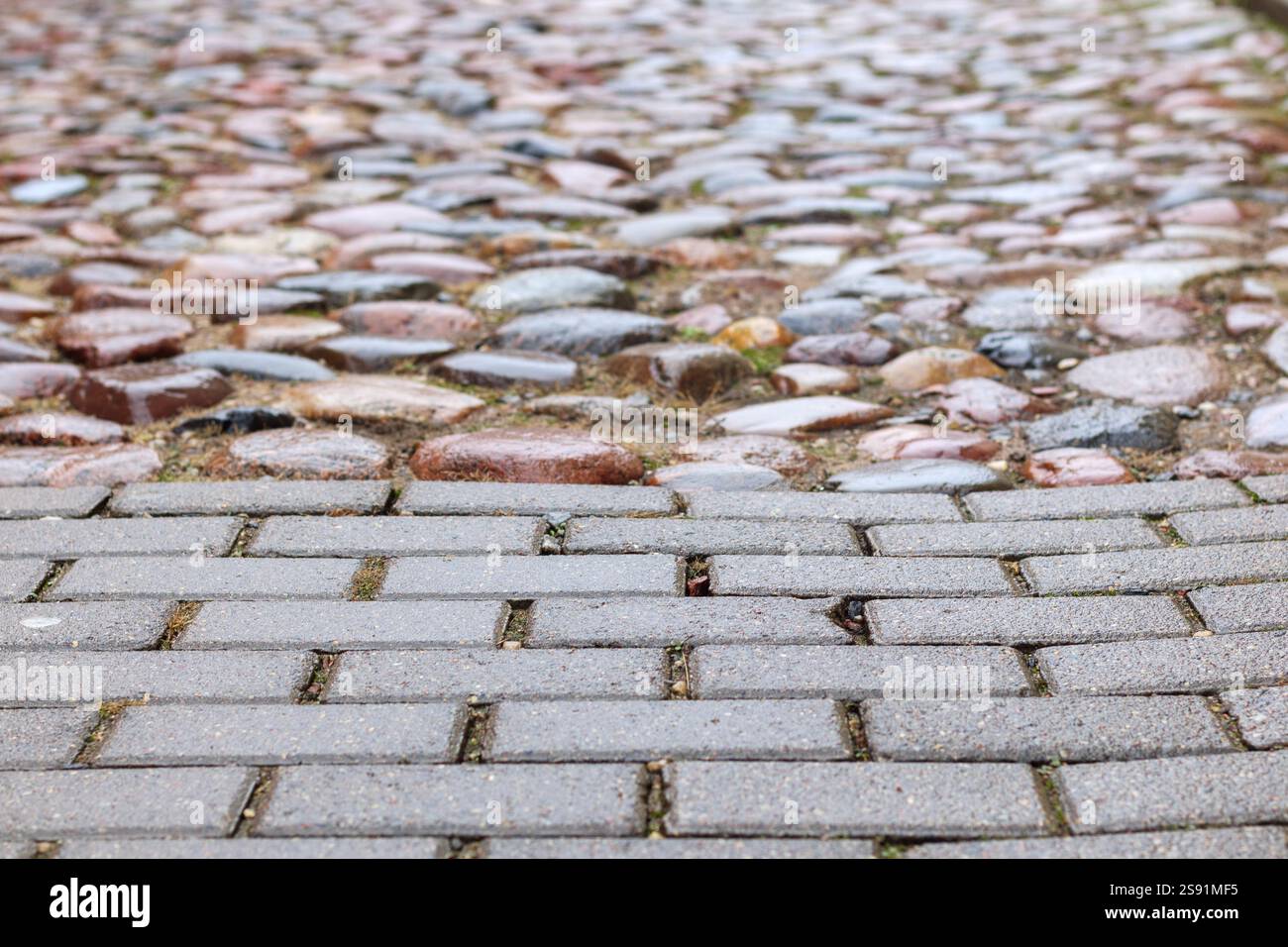 A path lined with cobblestones of various sizes and colors that fades ...