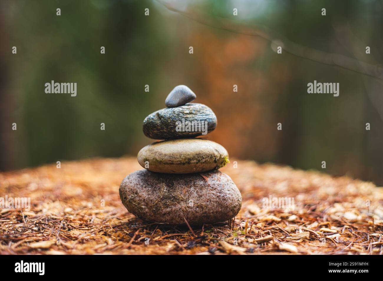 Stacked zen stone on top of a tree stump in a forest. Close up shot ...