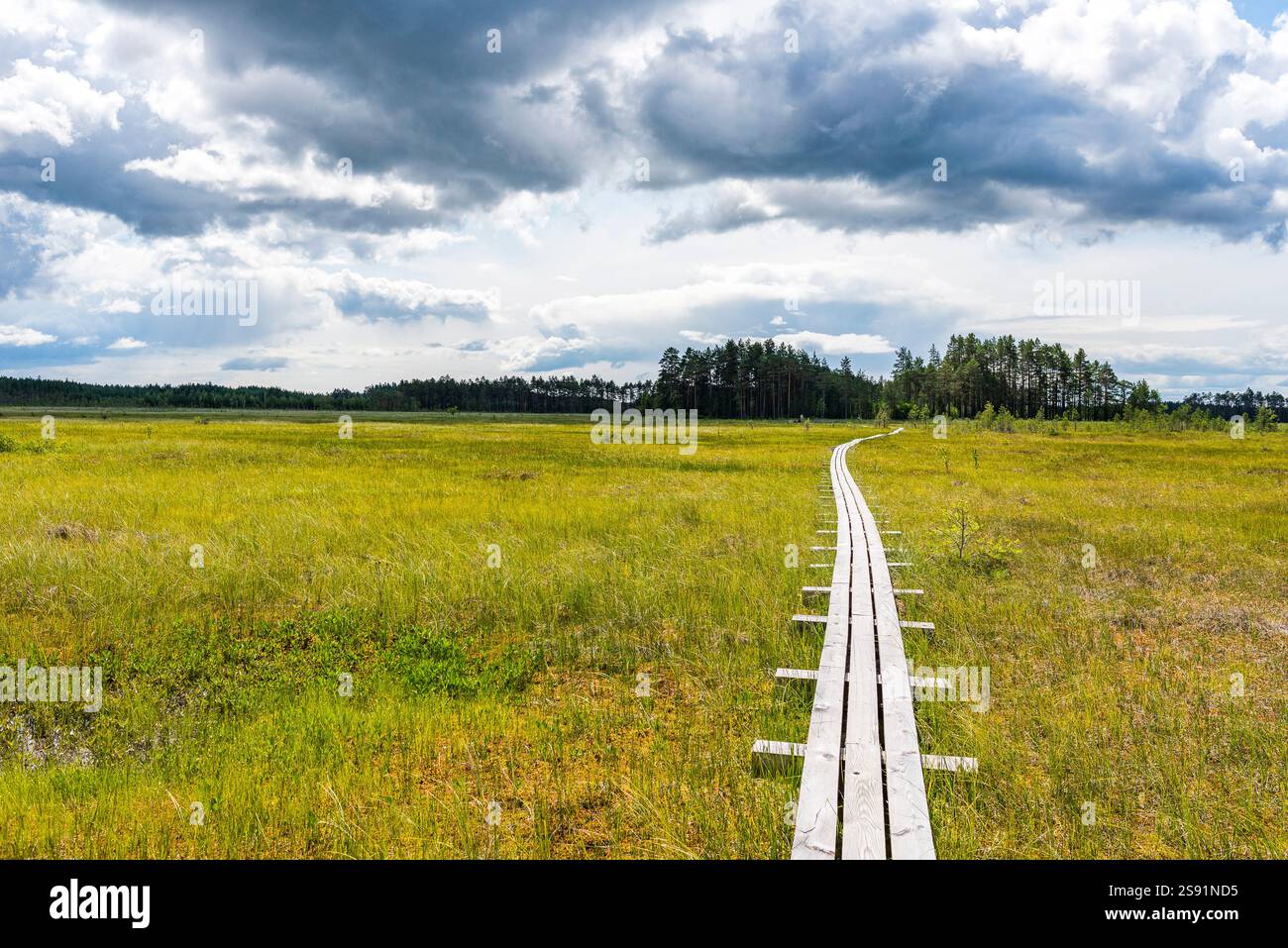 Alutaguse parish hi-res stock photography and images - Alamy