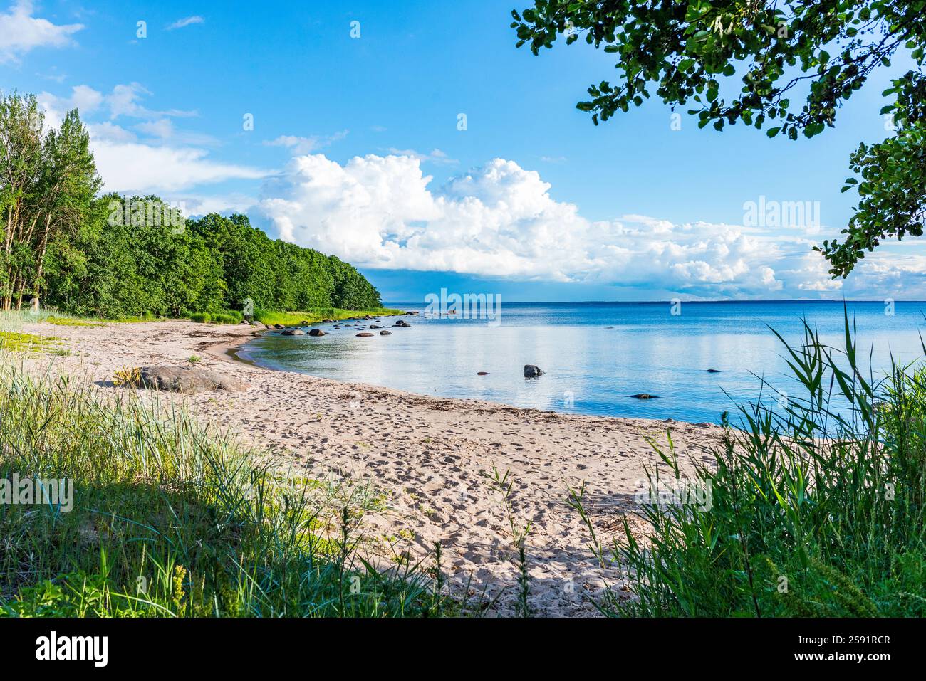 Coastal Landscape near Leesi Village, Lahemaa National Park, Estonia ...