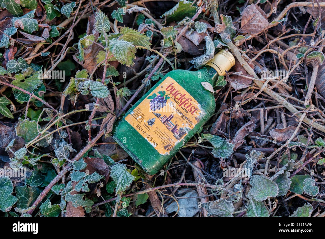 Glasgow Scotland: 8th Jan 2025: Buckfast Tonic Wine icy. Discarded ...