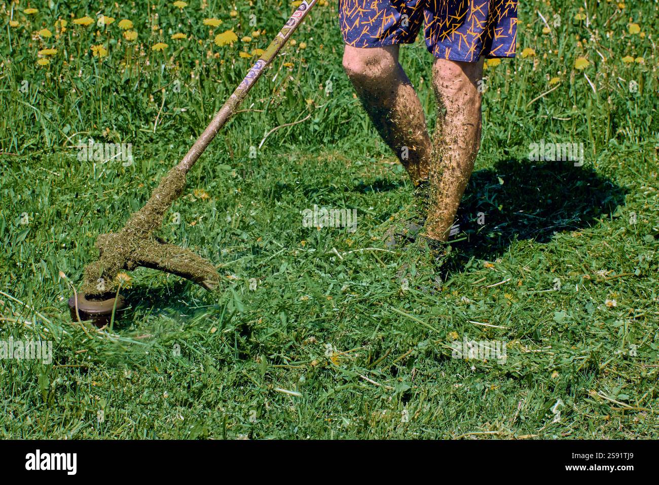 As result of work of gas powered string trimmer, unprotected skin on ...