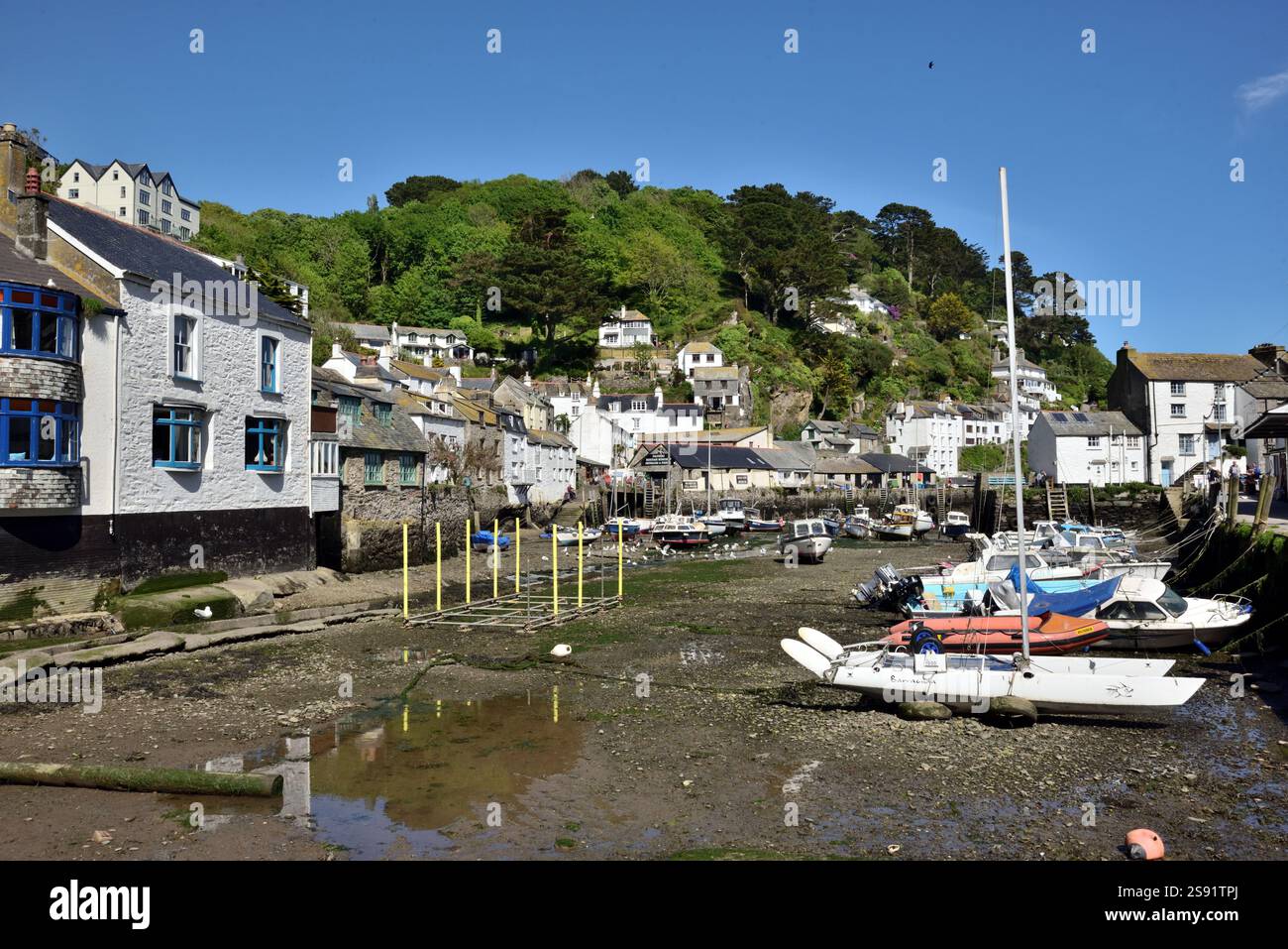 Low tide at Polperro, Cornwall Stock Photo - Alamy