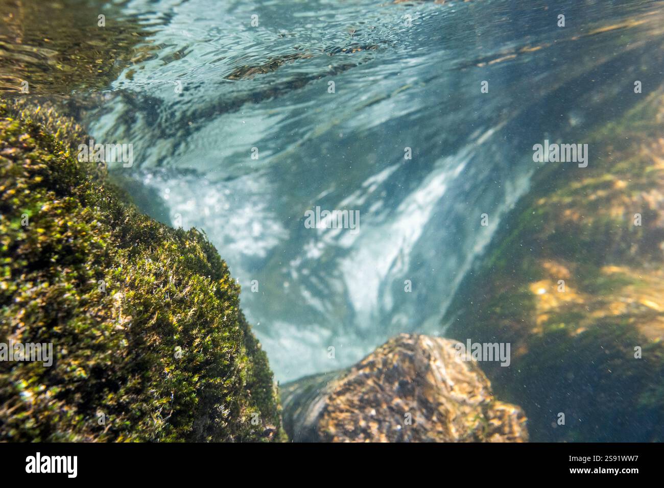 Underwater View, Gorges de l'Orbe, Vaud, Switzerland Stock Photo - Alamy