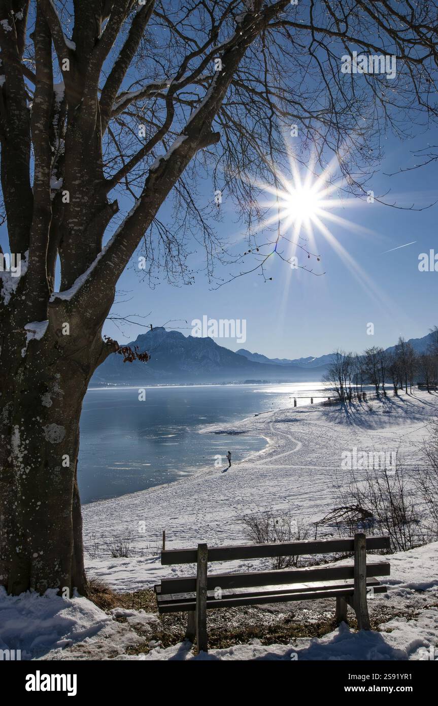 Winter idyll on Lake Forggensee in the Allgaeu, in the background the ...