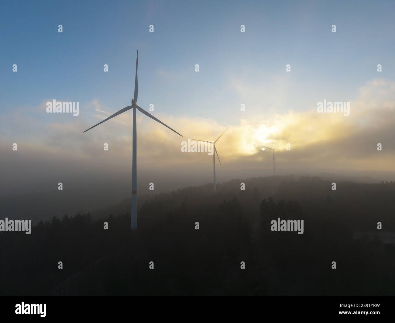 Wind turbines in the fog with the sun rising behind the trees, Rems ...