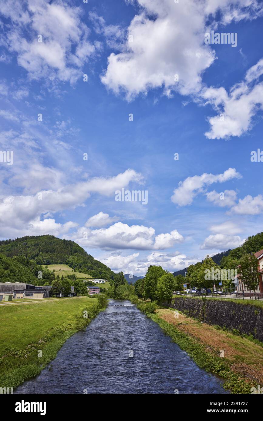 River Kinzig, meadow, trees, hilly landscape with coniferous forest ...